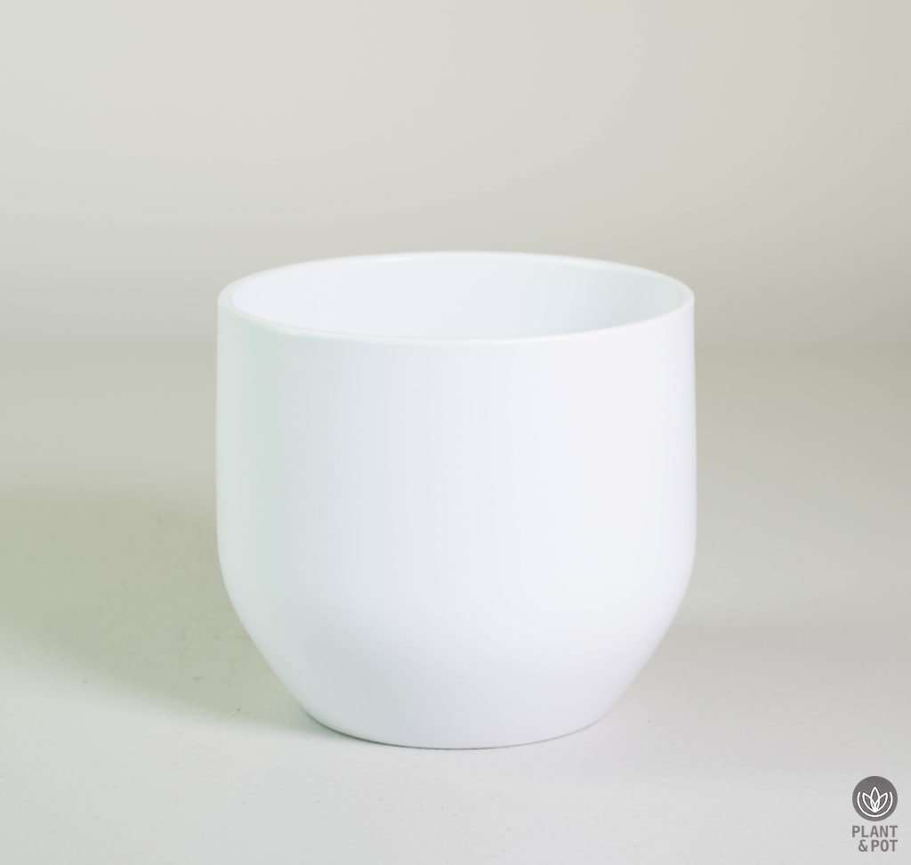 Pure White Pot, Small - plantandpot.nz