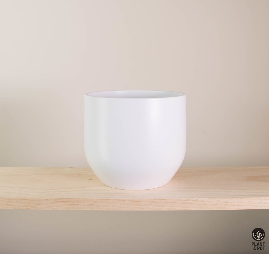 Indoor Planter | Pure White Pot 16cm - plantandpot.nz