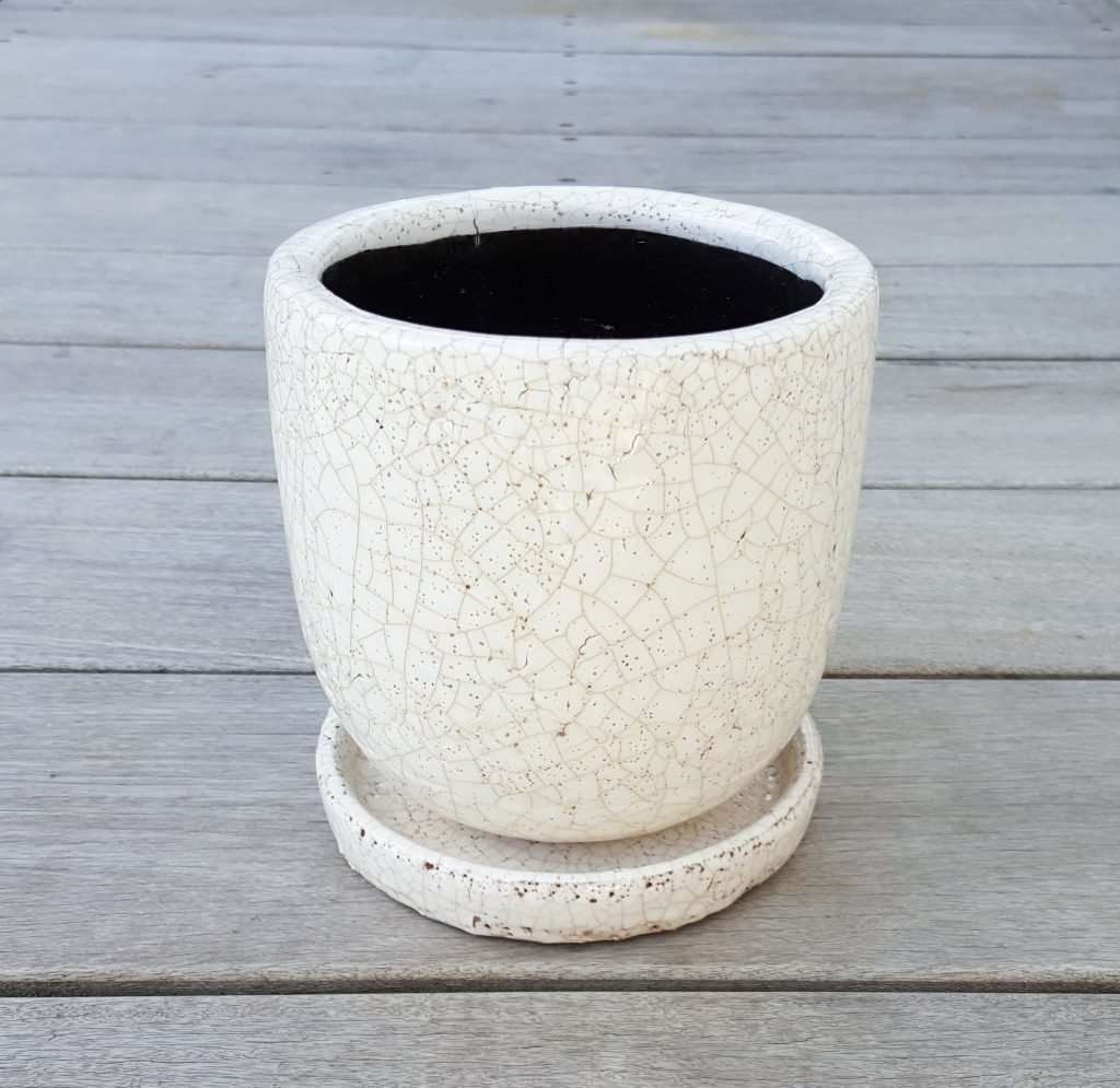 Crackle Pot, 13cm - Plant & Pot NZ