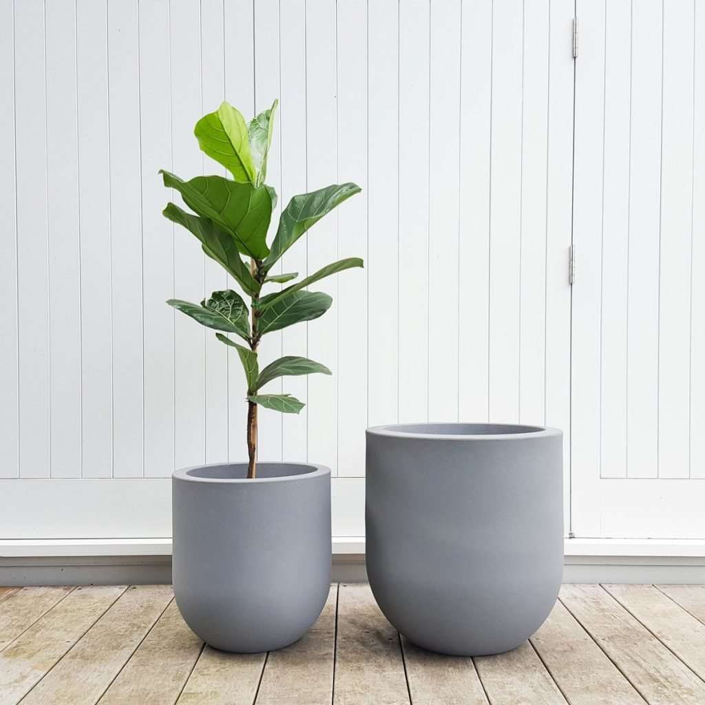Allure Pots - Plant and Pot NZ