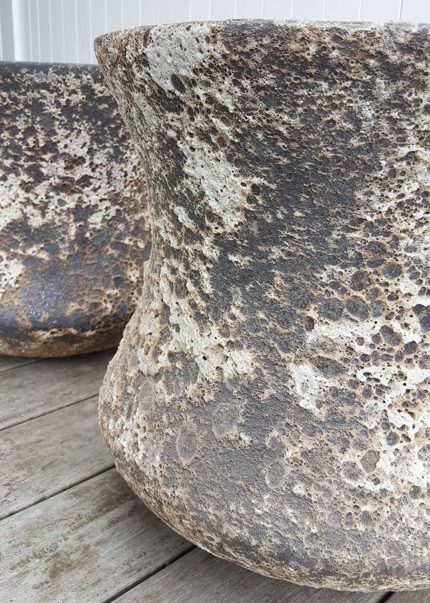 Outdoor: Lotus Ocean Pot - Plant & Pot NZ