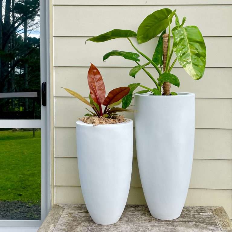 Pluto Planter - Plant & Pot NZ